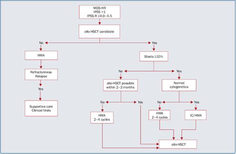 Treatment Recommendations Developed By Mds Experts Of The Polish Adult Leukemia Group Palg For
