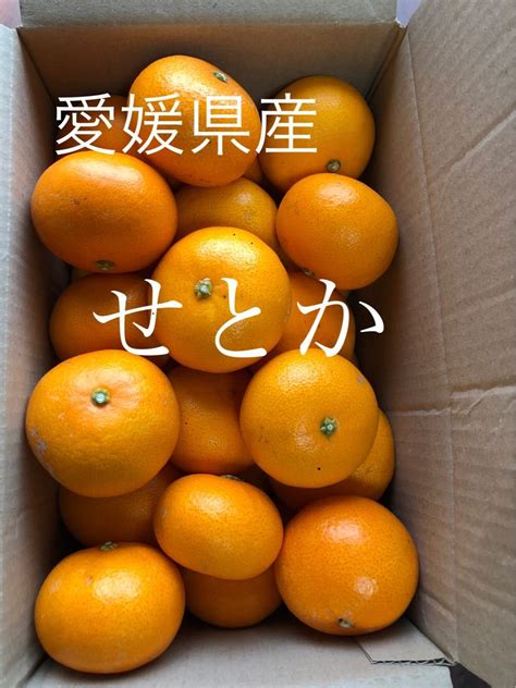 愛媛県産 せとか 3キロ｜yahooフリマ（旧paypayフリマ）