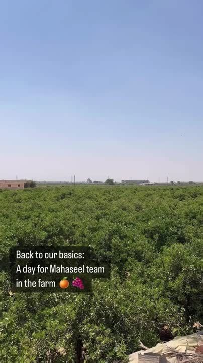 Video Mahaseel On Linkedin Teambuilding Teamspirit