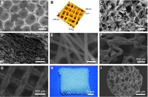 Advances In Porous Scaffold Design For Bone And Cartilage Tissue Engineering And Regeneration