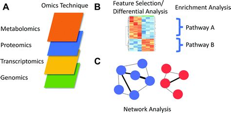 Single Platform ‘multi Omic Profiling Unified Mass Spectrometry And