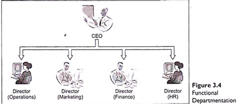 Types Of Departmentation Methods And Basics
