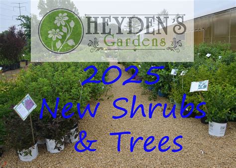 2025 New Shrubs And Trees Heydens Gardens