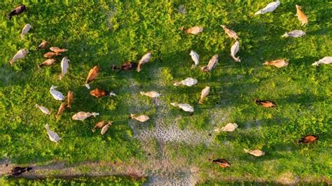 Agribusiness Top Stories Sistemabio Heavy Flooding Mexico