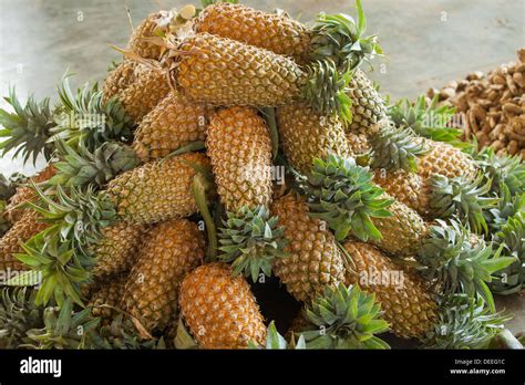 Pile Pineapples In Fruit Hi Res Stock Photography And Images Alamy
