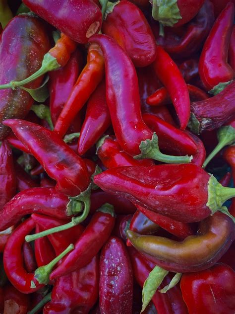 Derya Demir On Linkedin 🌶️ Derya Demir On Linkedin 🌶️