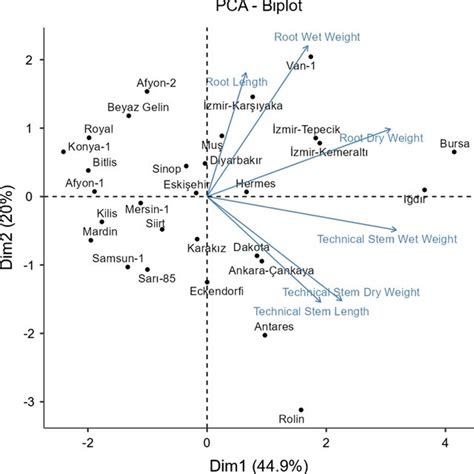 Heatmap Clustering Of Morphological Characteristics Of Flax Linum