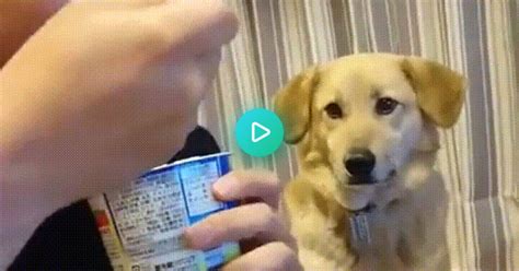 Self Respect Over Temptation  On Imgur