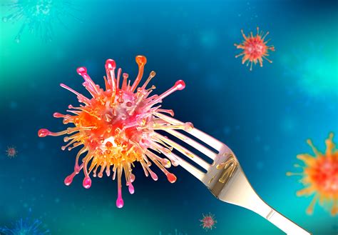 Gastroenteritis Bacteriana Ecoli Shighela Clostridium Difficile Y