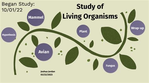 Capstone Class Presentation By Joshua Jordan On Prezi