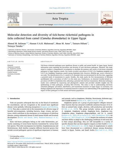 Pdf Molecular Detection And Diversity Of Tick Borne Rickettsial