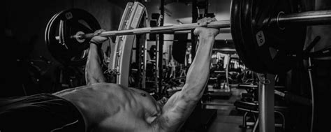 Exercise Library And Database 1000 Exercises Set For Set