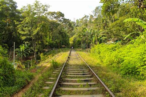 Hike Through Train Tracks To Ella Rock Sri Lanka Stock Image Image