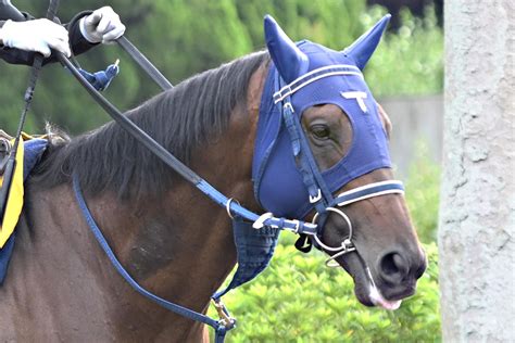 2021年のセントライト記念勝ち馬アサマノイタズラが左前浅屈腱炎を発症 競馬ニュース・特集なら東スポ競馬