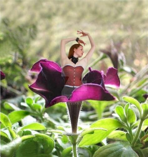 Budding Ballerina By Sue55 On Deviantart