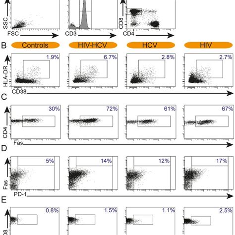 Representative Flow Cytometry Plots Representative Flow Cytometry
