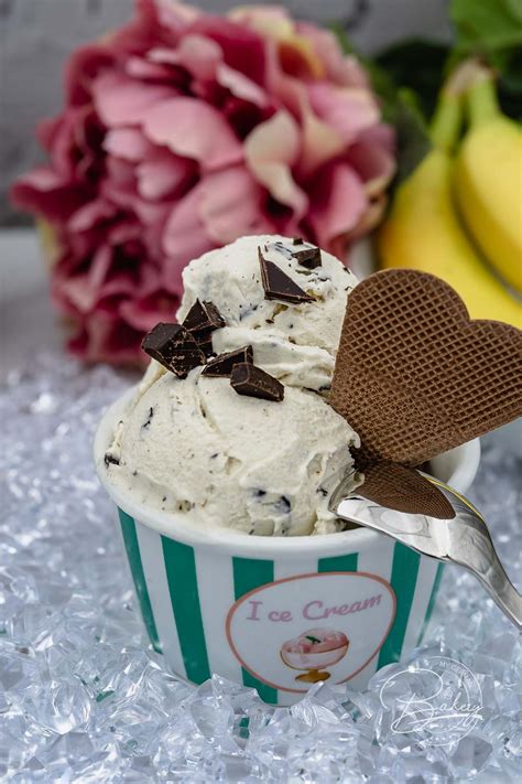 Yogurt Ice Cream Recipe Quick Homemade Frozen Yogurt