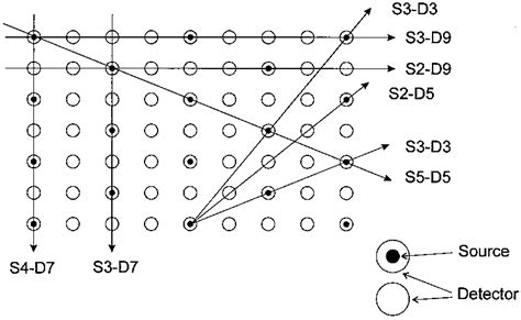 Schematic Drawing Of The Arrangement Of Source And Detector Fibers On