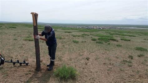 ӨГИЙНУУР СУМАНД ҮЛИЙН ЦАГААН ОГОТНОТОЙ ТЭМЦЭХ АЖИЛ ХИЙГДЭЖ БАЙНА