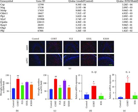 Results Of Key Driver Gene Analysis Kda Download Scientific Diagram