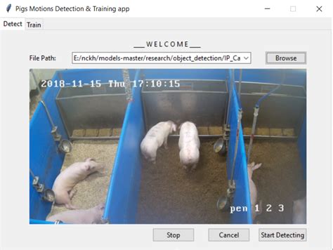 how to remove video in apps of tkinter python stack overflow