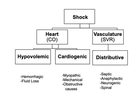 Hypovolemic Shock Chart View Of Approach To Shock Mcgill Journal Of