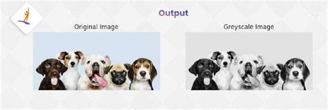 Mastering Image Processing Techniques Applications And Machine Learning Integration