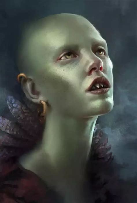 Pathfinder Kingmaker Assorted Portraits Imgur