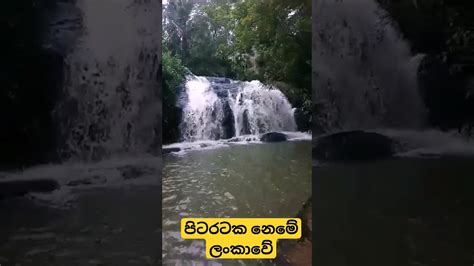 පිටරටක නෙමෙයි ලංකාවෙ Youtube