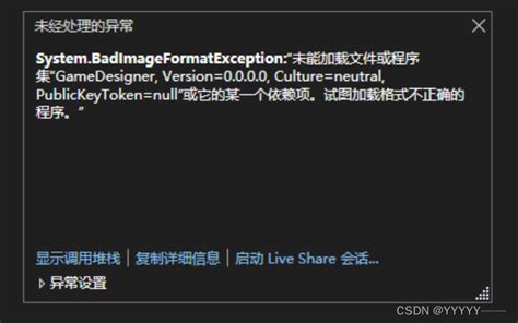 System BadImageFormatException 未能加载文件或程序集 system