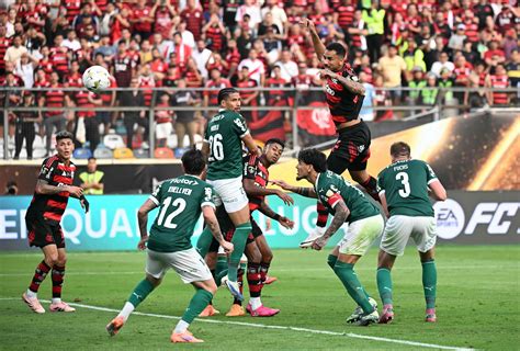 Final Da Libertadores Entre Flamengo E Palmeiras Bate Recorde De