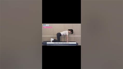목허리에 좋은 고양이 소등 운동 Youtube
