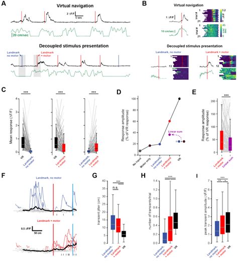 Non Linear Integration Of Visual And Motor Inputs In Rsc Landmark