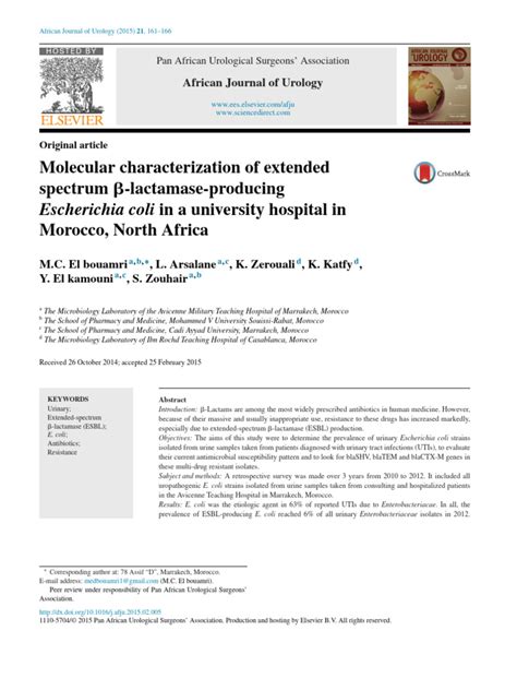 Molecular Characterization Of Extended Spectrum B Pdf Beta