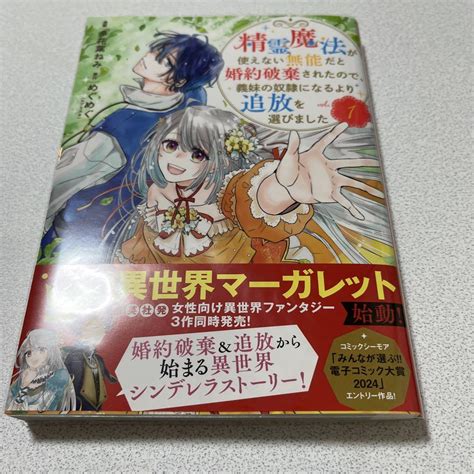 精霊魔法が使えない無能だと婚約破棄されたので、義妹の奴隷になるより追放を選びま By メルカリ