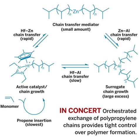 Polypropylenes Propene Polymers Propylene Polymers