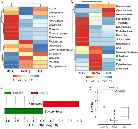 Hierarchically Clustered Heatmap Of Taxonomy Analysis At The Genus A