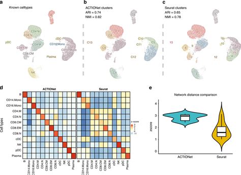 Actionets Framework Cluster Based Analysis A Cells Labeled With Known Download Scientific