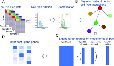 Overview Of Cins A Cell Type Annotation Is Used To Extract Cell Type