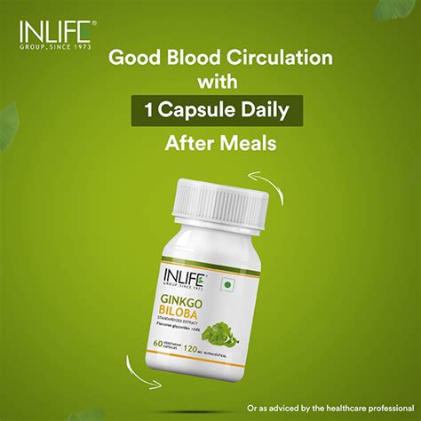 Buy Inlife Ginkgo Biloba Capsule 60s Cognitive Support Supplement
