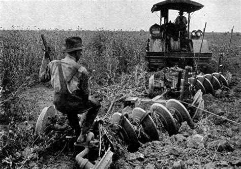 Crop Rotation Industrial Revolution