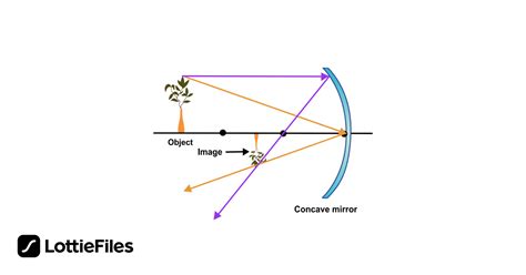 Image Of Concave Mirror Will Be Upside Down Explanation By Joana