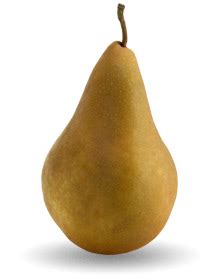 Pear Varieties List | Guide to Ten Pear Types | USA Pears