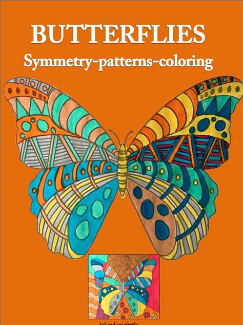 Butterflies Symmetry Patterns Coloring Teaching Resources