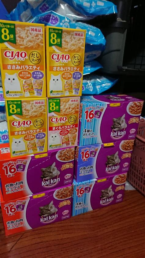 ゆーちゃん On Twitter こんばんは😃買い出しから帰って来たらベッドにはプチ猫団子が😅一時間後7匹が14匹になっています😱ケージの