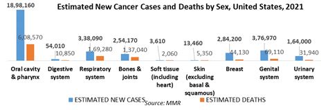 Pdx Model Market Global Overview And Forecast 2022 2029