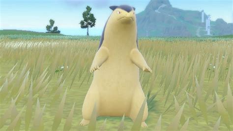 Best Pokemon Scarlet And Violet Typhlosion Pvp Moveset Item Nature
