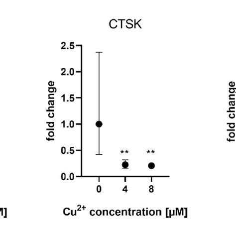 Expression Of Osteoclast Marker Genes In Pbmc Derived Osteoclasts After