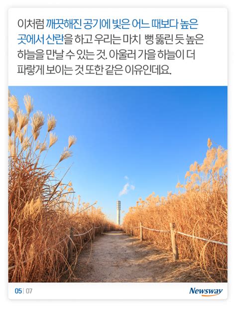 정말 가을 하늘은 더 높고 파랄까 네이버 블로그