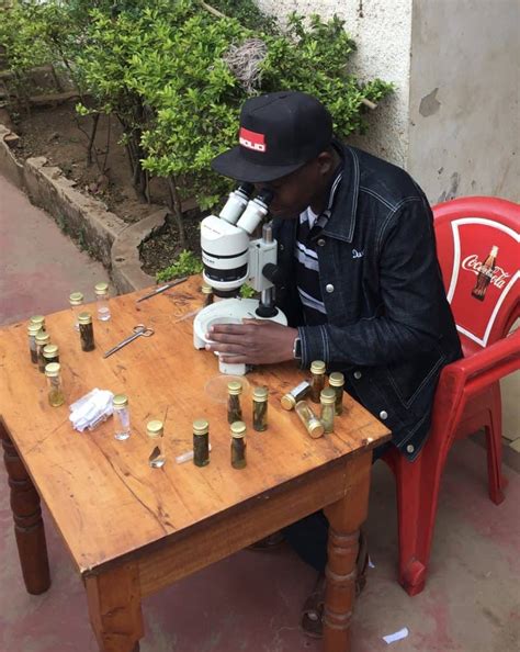 Entomological Surveillance Of Onchocerciasis Transmission Vector Borne Diseases Modelling Network